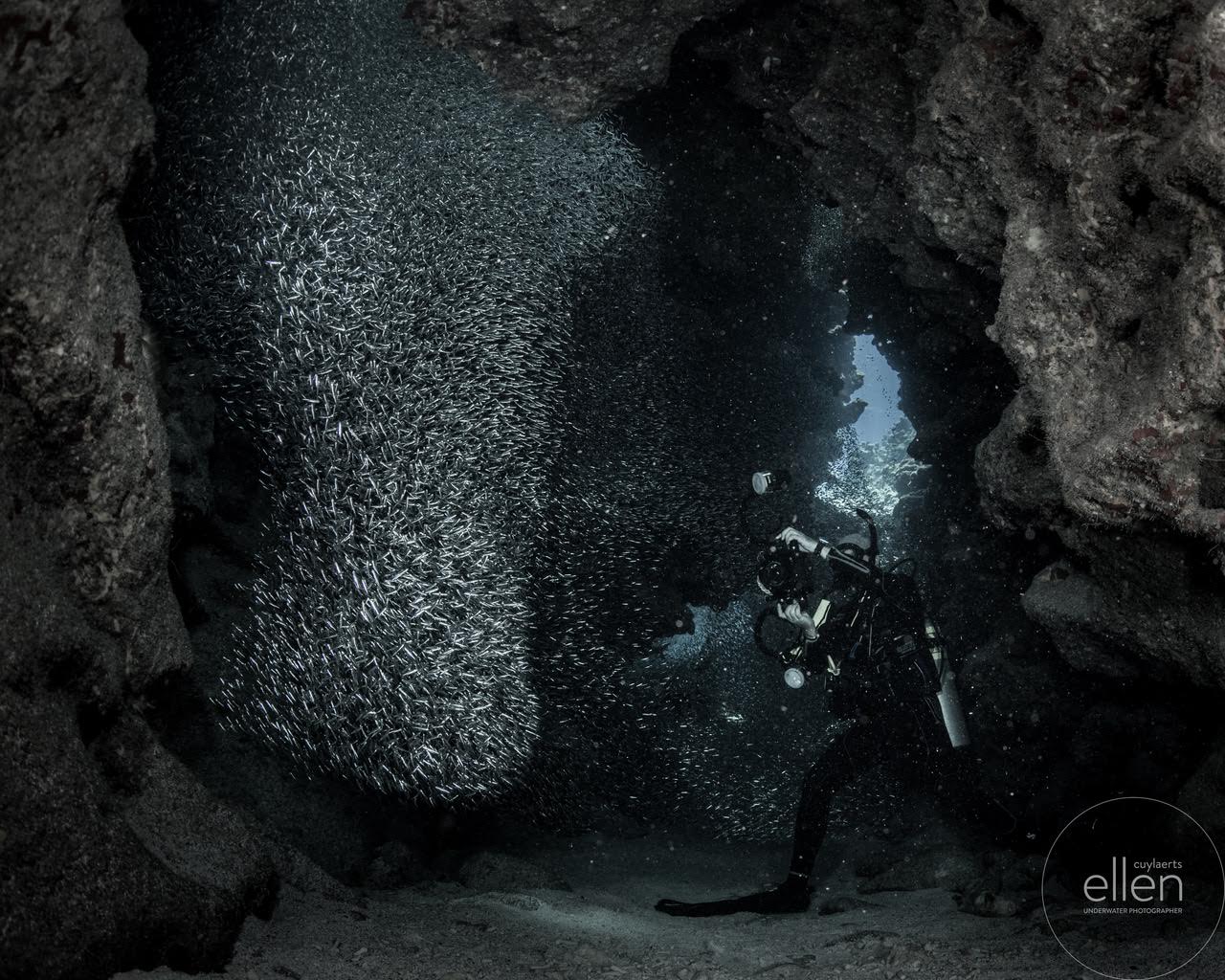 Underwater Documentary Cinematography: Filmmaker Profile Michael Maes