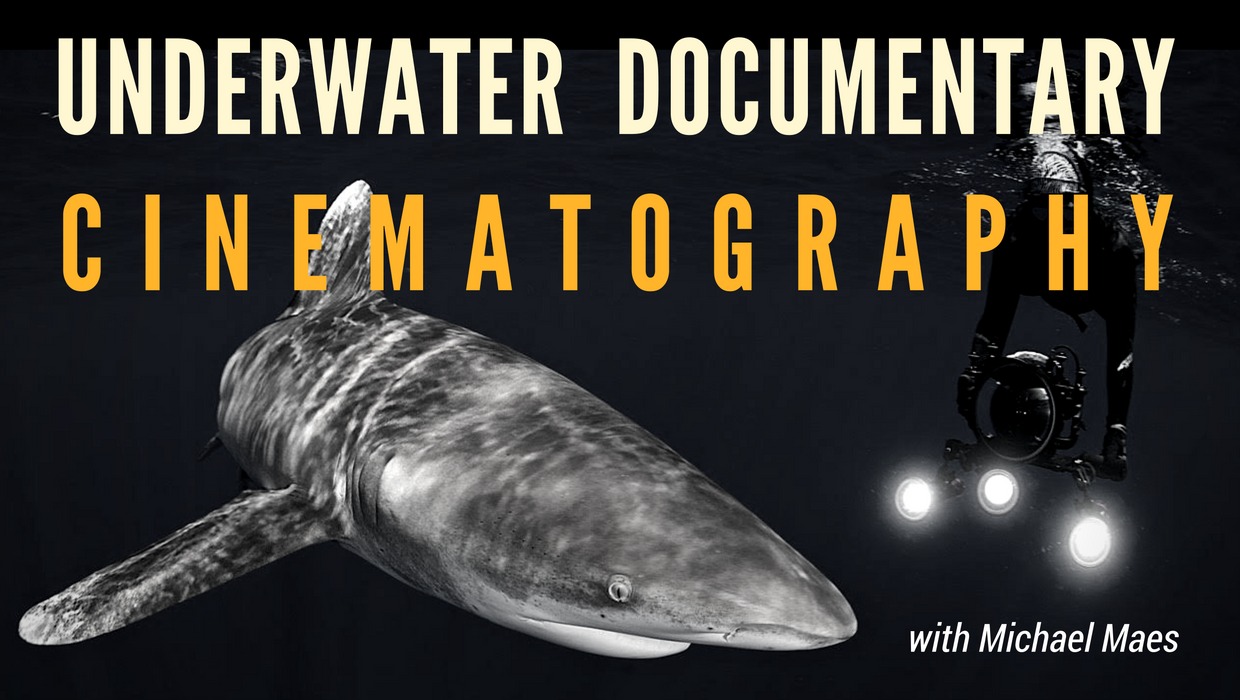 Underwater Documentary Cinematography: Filmmaker Profile Michael Maes